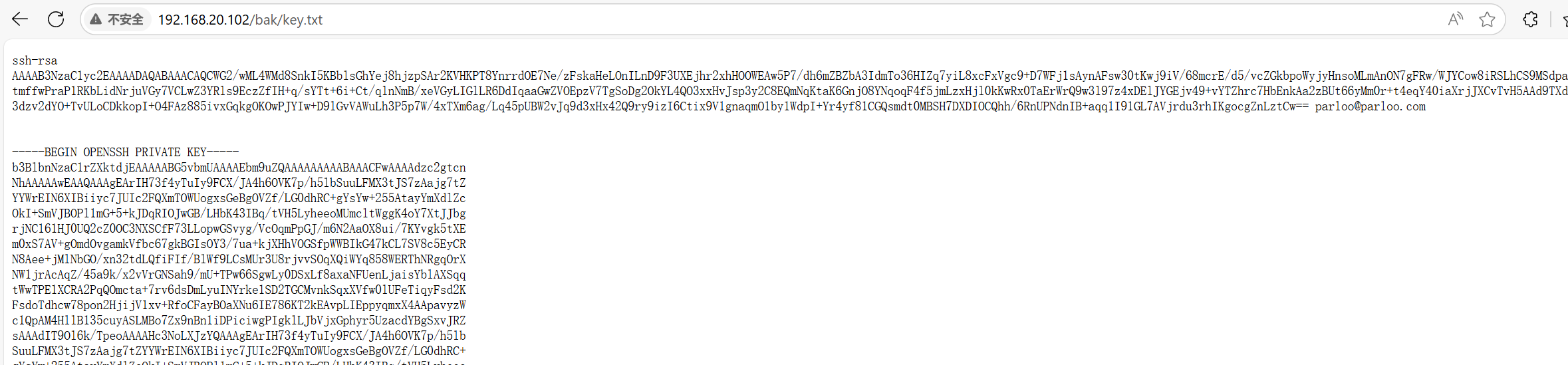 帕鲁杯-WP | Yxing